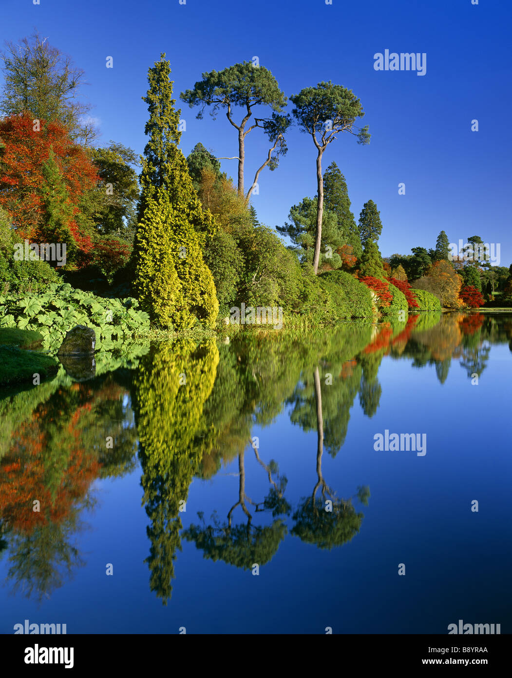 Sheffield Park Garden Stock Photo - Alamy