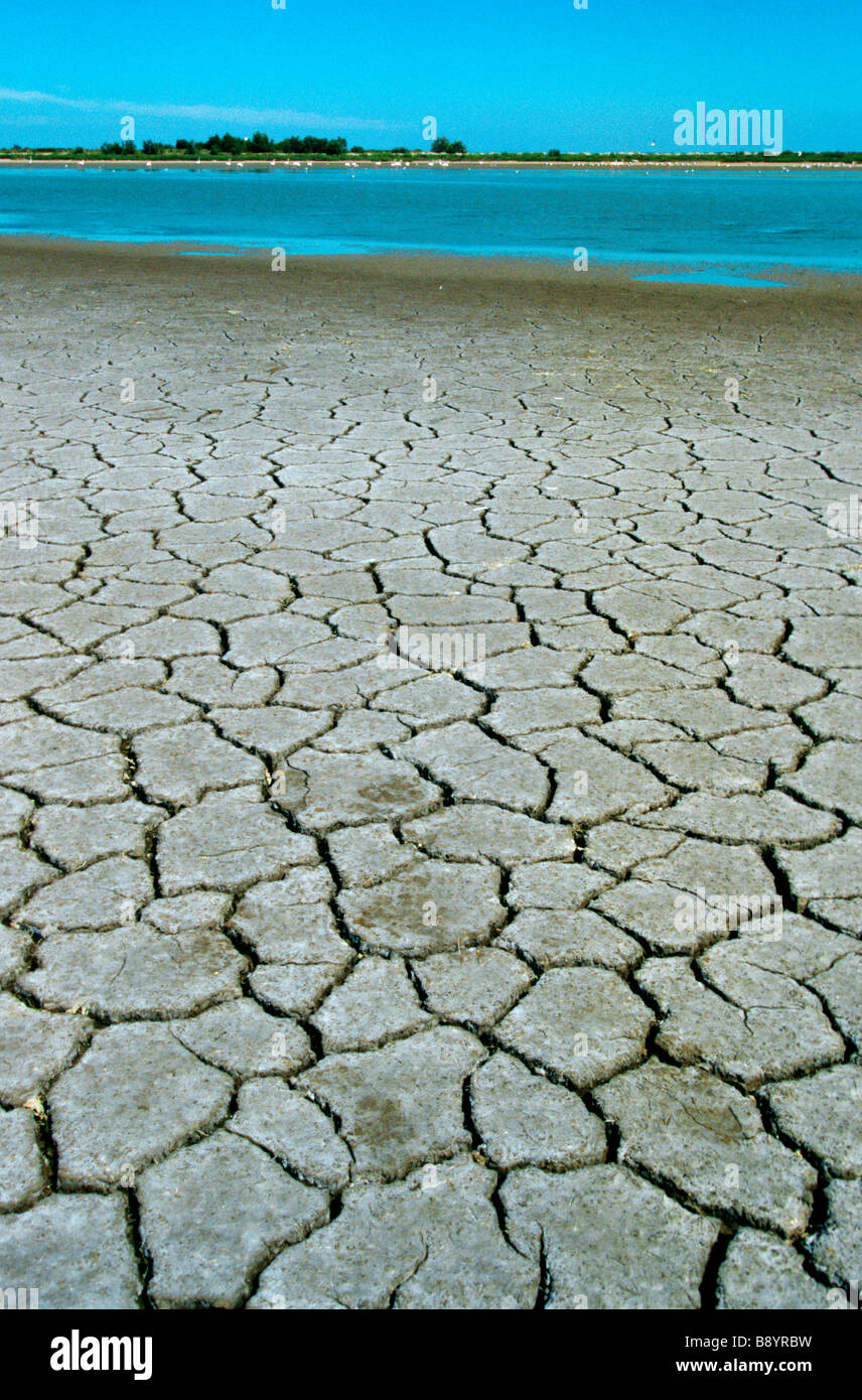DRYNESS PROVENCE CAMARGUE FRANCE Stock Photo - Alamy