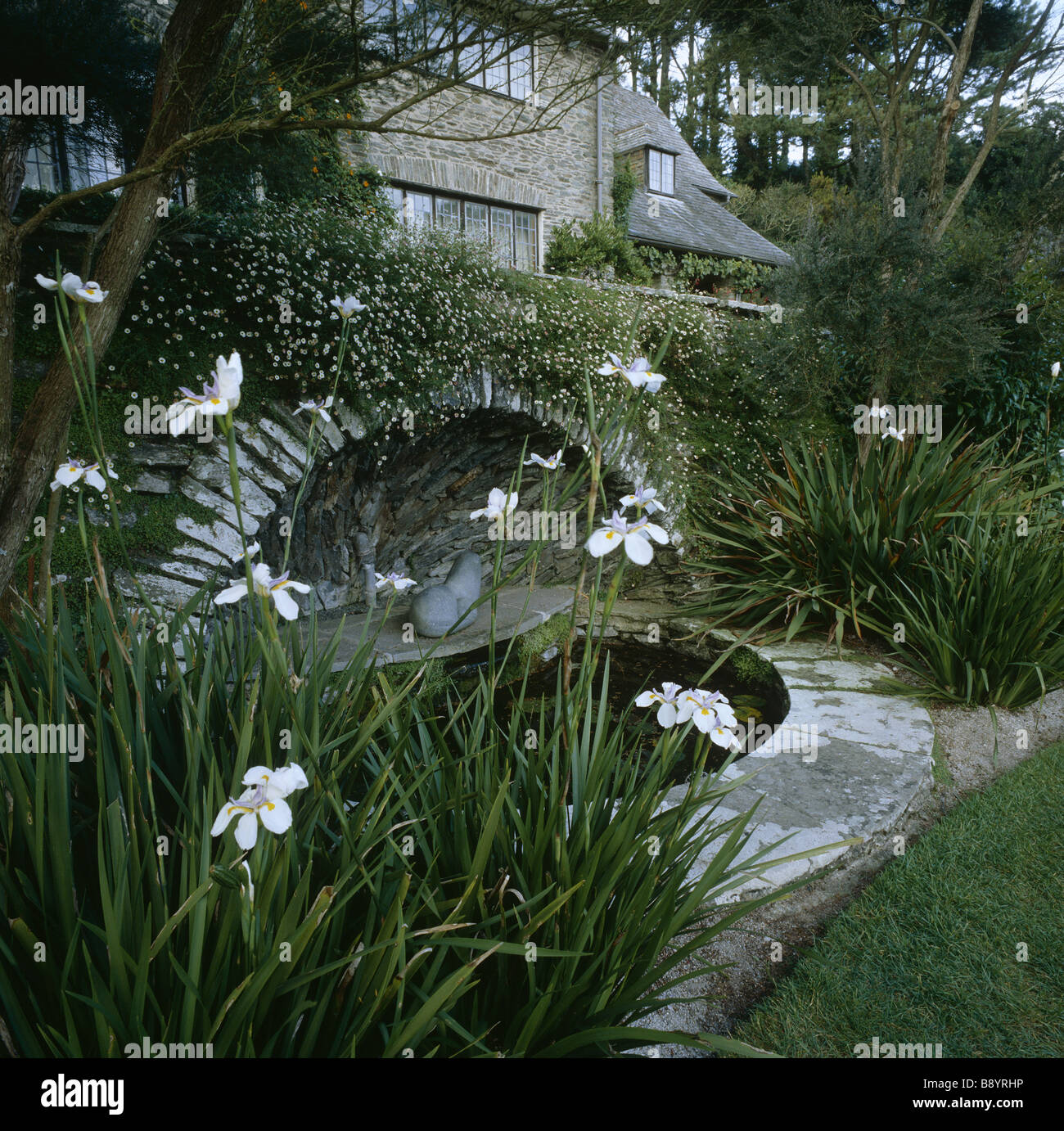 Coleton fishacre plant hi-res stock photography and images - Alamy