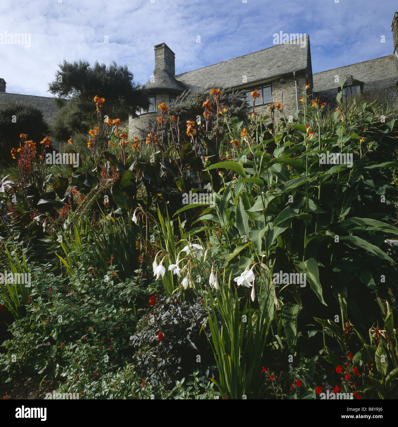 Coleton fishacre plant hi-res stock photography and images - Alamy