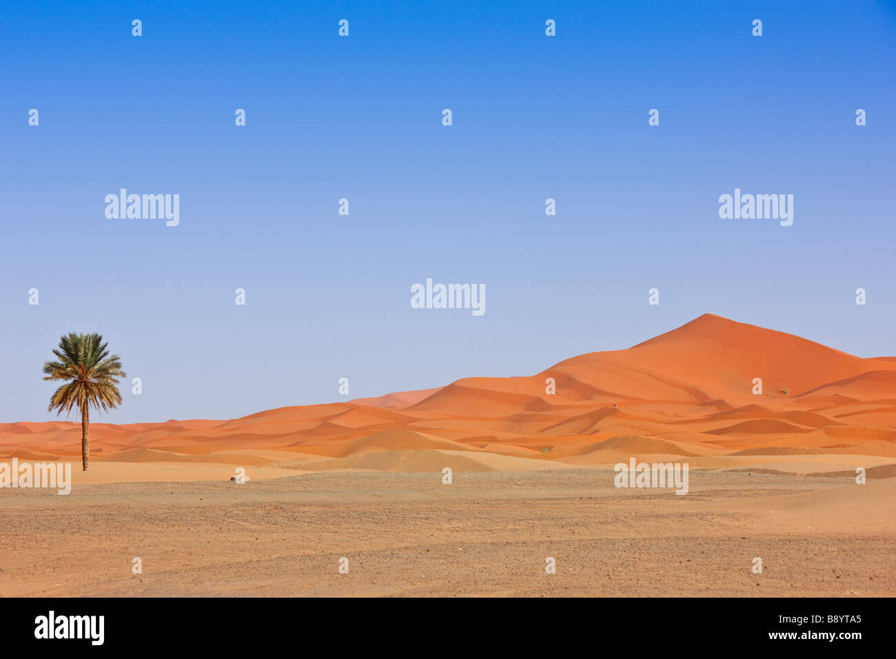 Beautiful Desert Landscape Sahara Morocco Stock Photo - Alamy