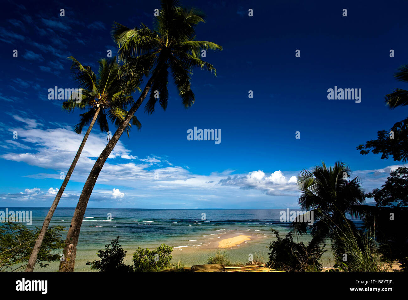 Comoros, Anjouan, Moya. Coconut trees, sandbar Stock Photo - Alamy