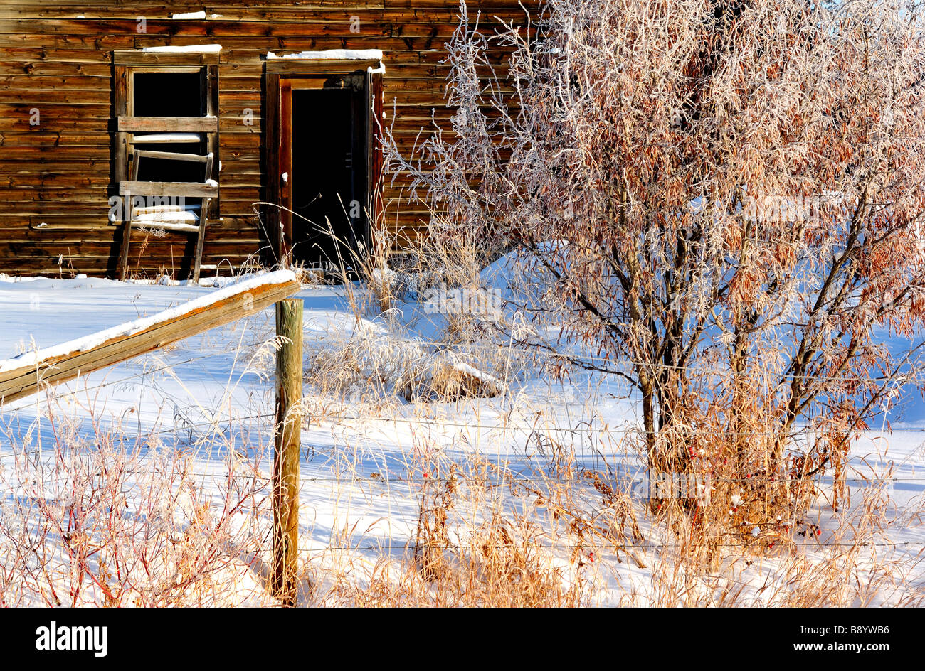 Abandoned pioneer homestead hi-res stock photography and images - Alamy