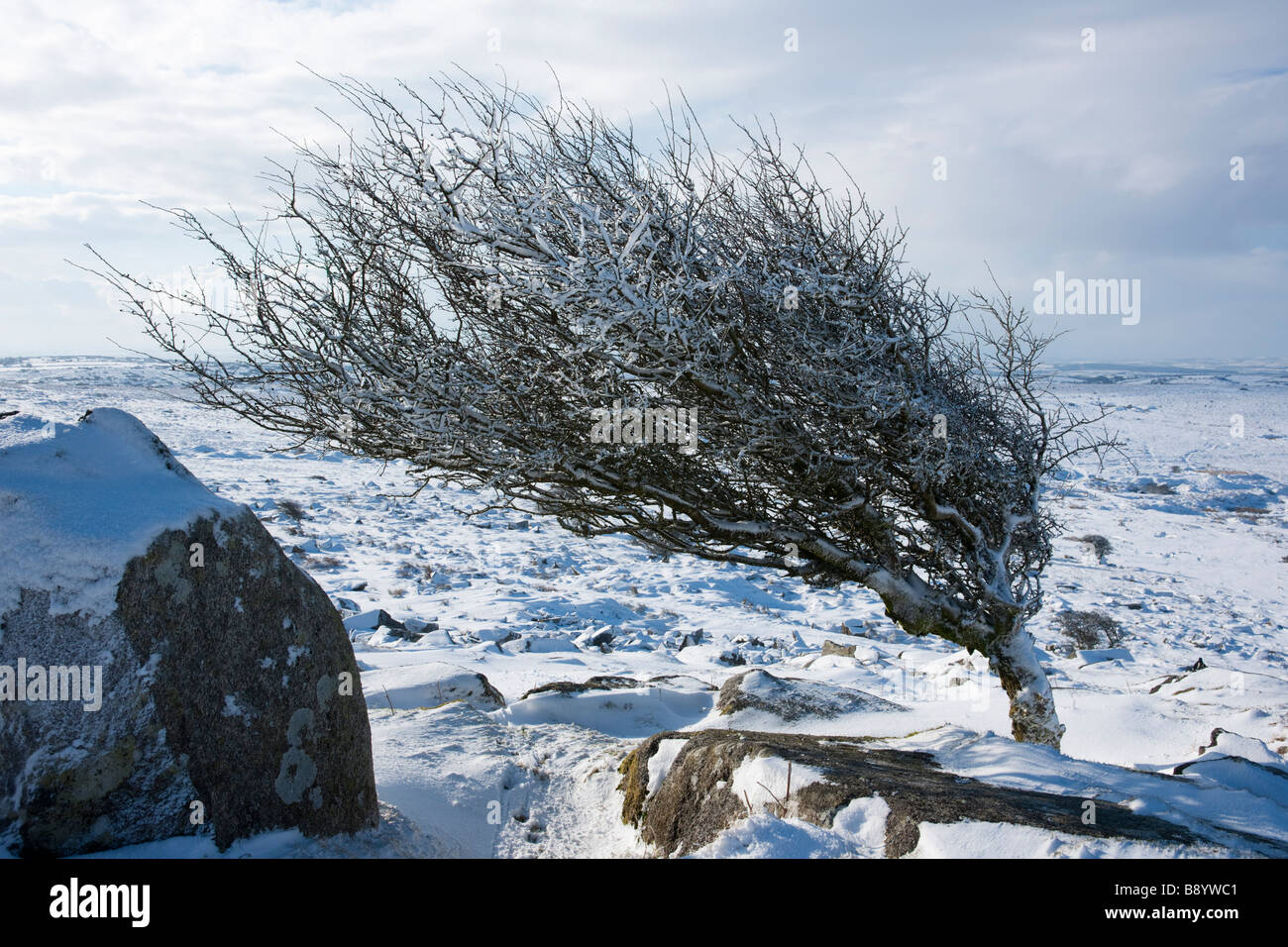 Windswept hill hi-res stock photography and images - Alamy