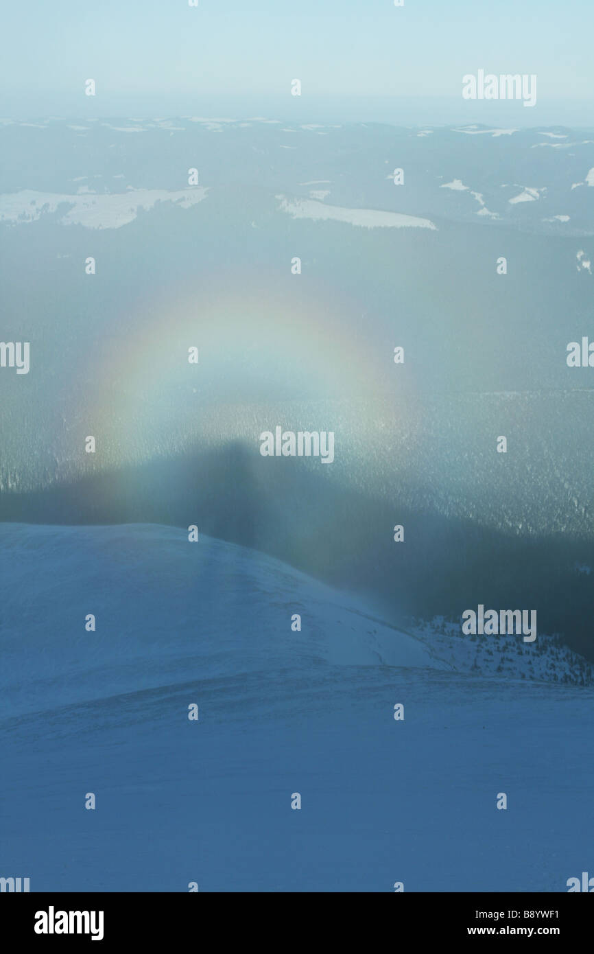 Gaul in mountains Stock Photo - Alamy