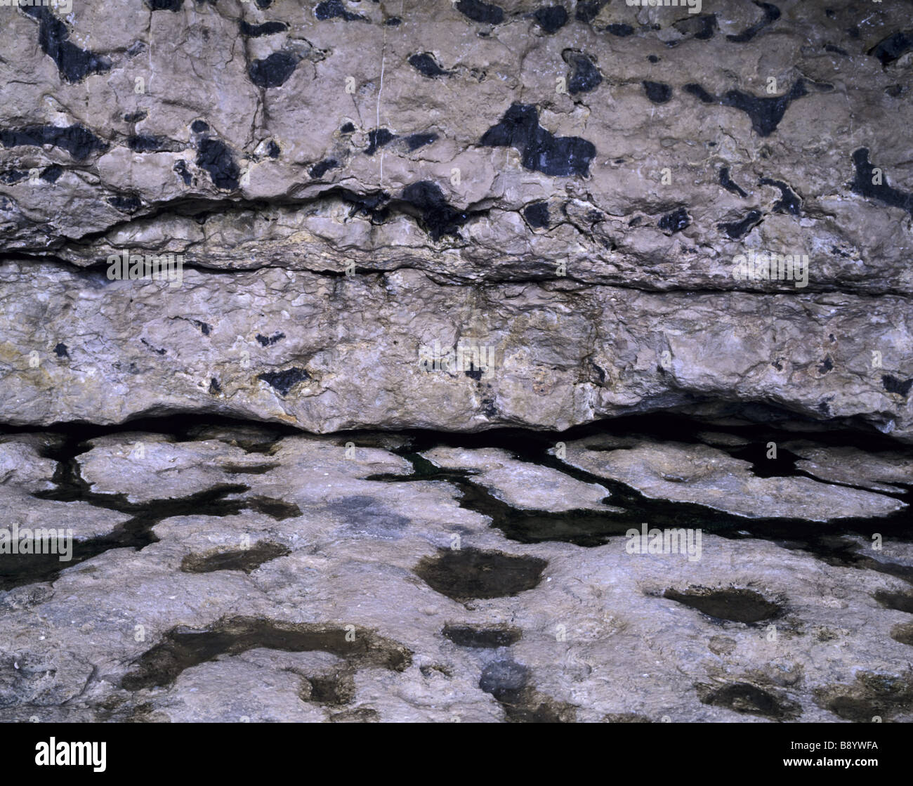 Close view of the limestone at Dancing Ledge a disused stone quarry on ...