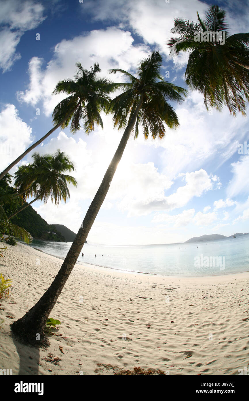 Tumblr Paradise Beach