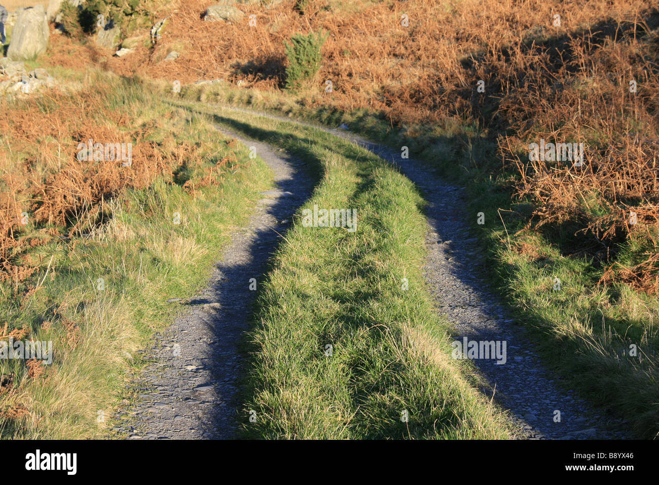 country lane track path and field in rural countryside Stock Photo - Alamy