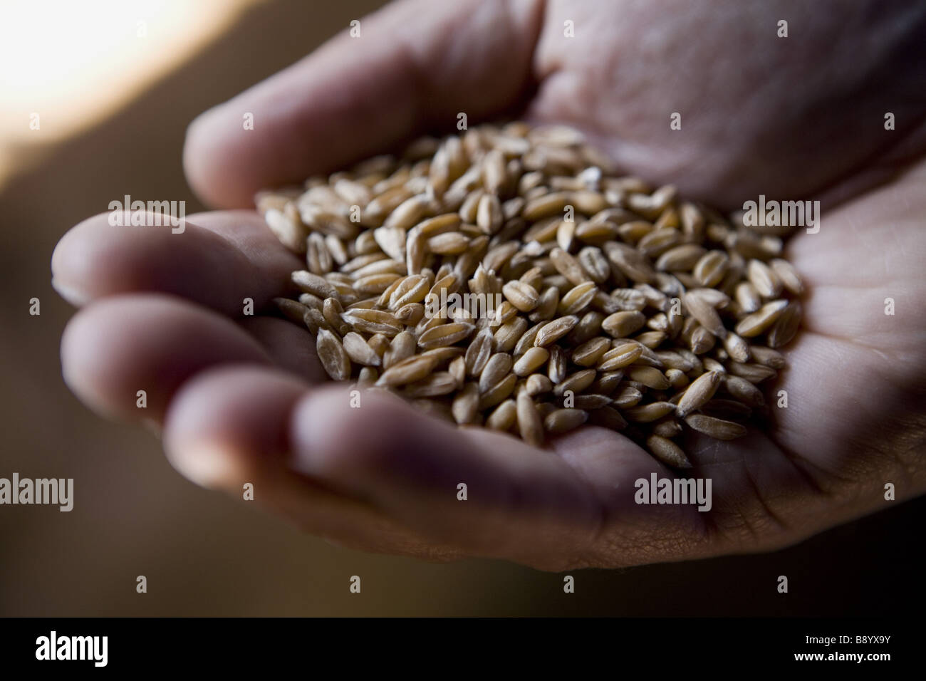Stainsby Mill: Hardwick Estate Stock Photo - Alamy