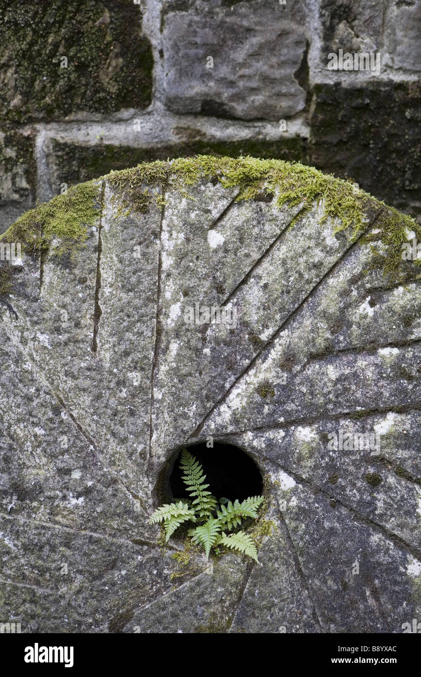 Close up of an old millstone at Stainsby Mill a working water powered ...