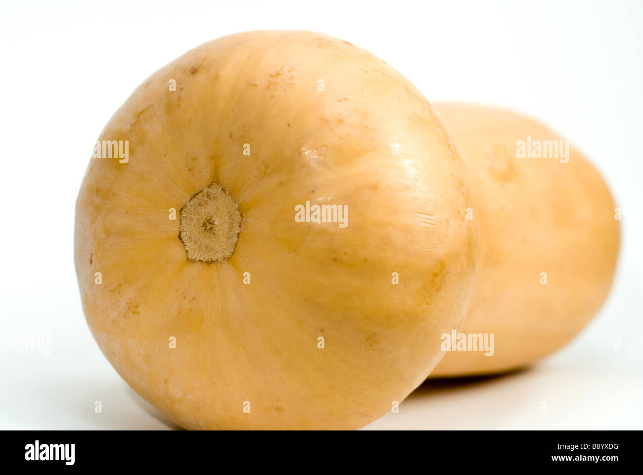 A butternut squash on white cut out background Stock Photo - Alamy