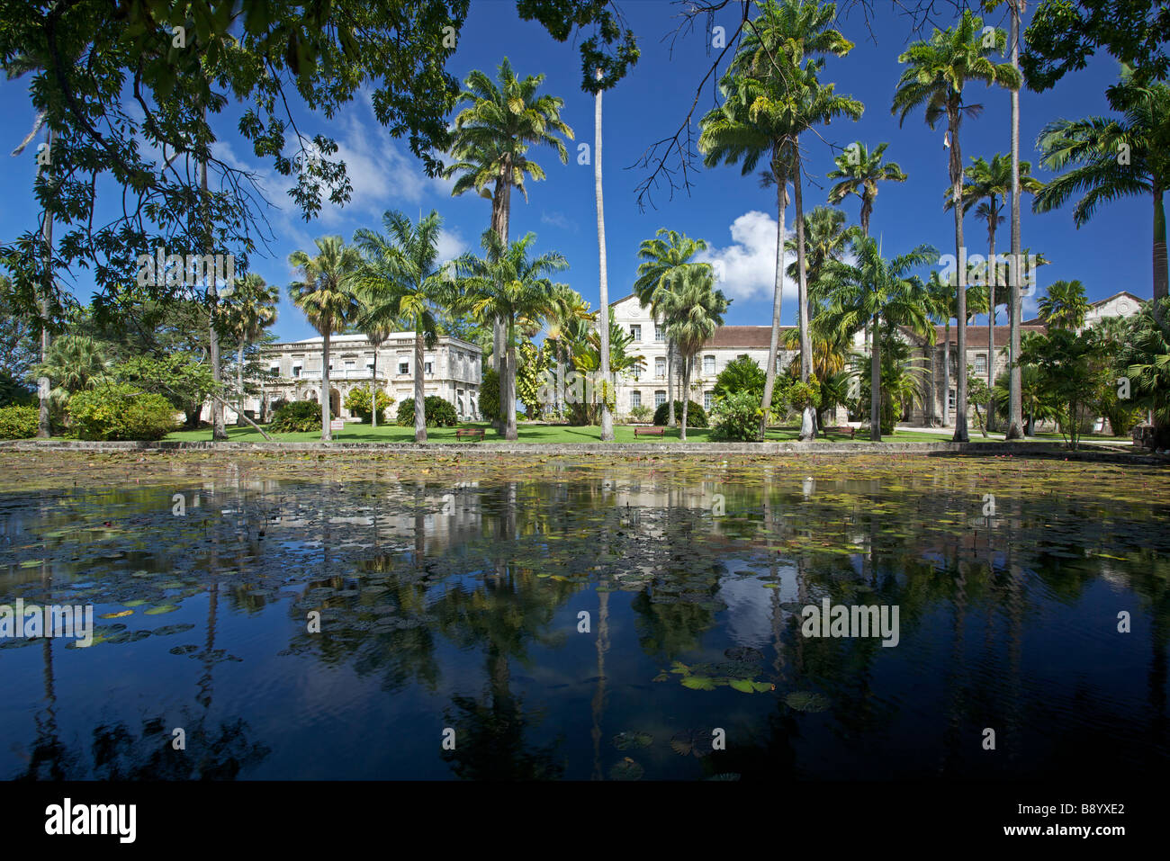 Lily pond at Codrington College, the oldest Anglican theological ...