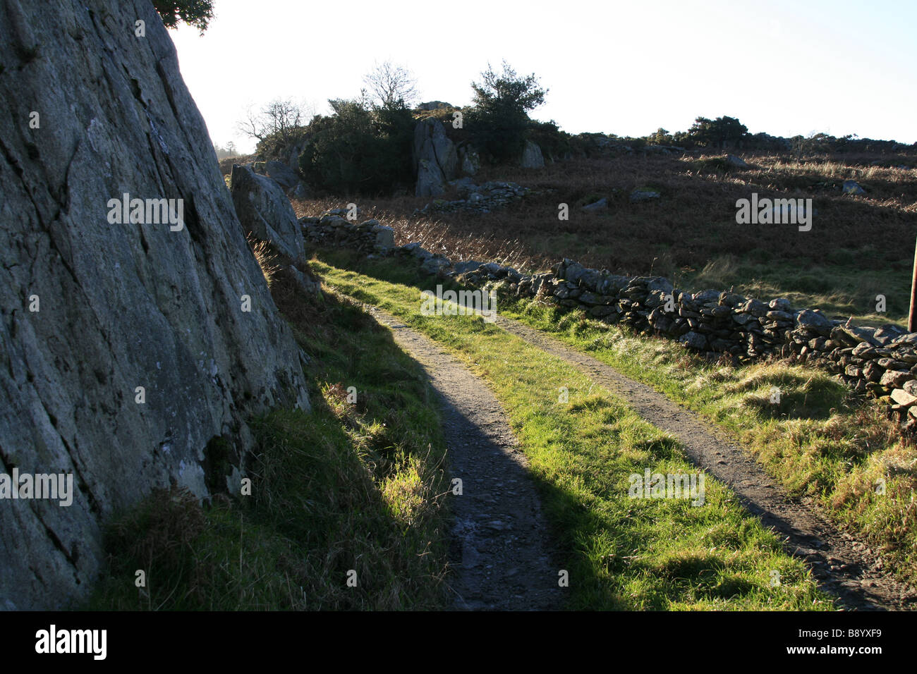 country lane track path and field in rural countryside Stock Photo - Alamy
