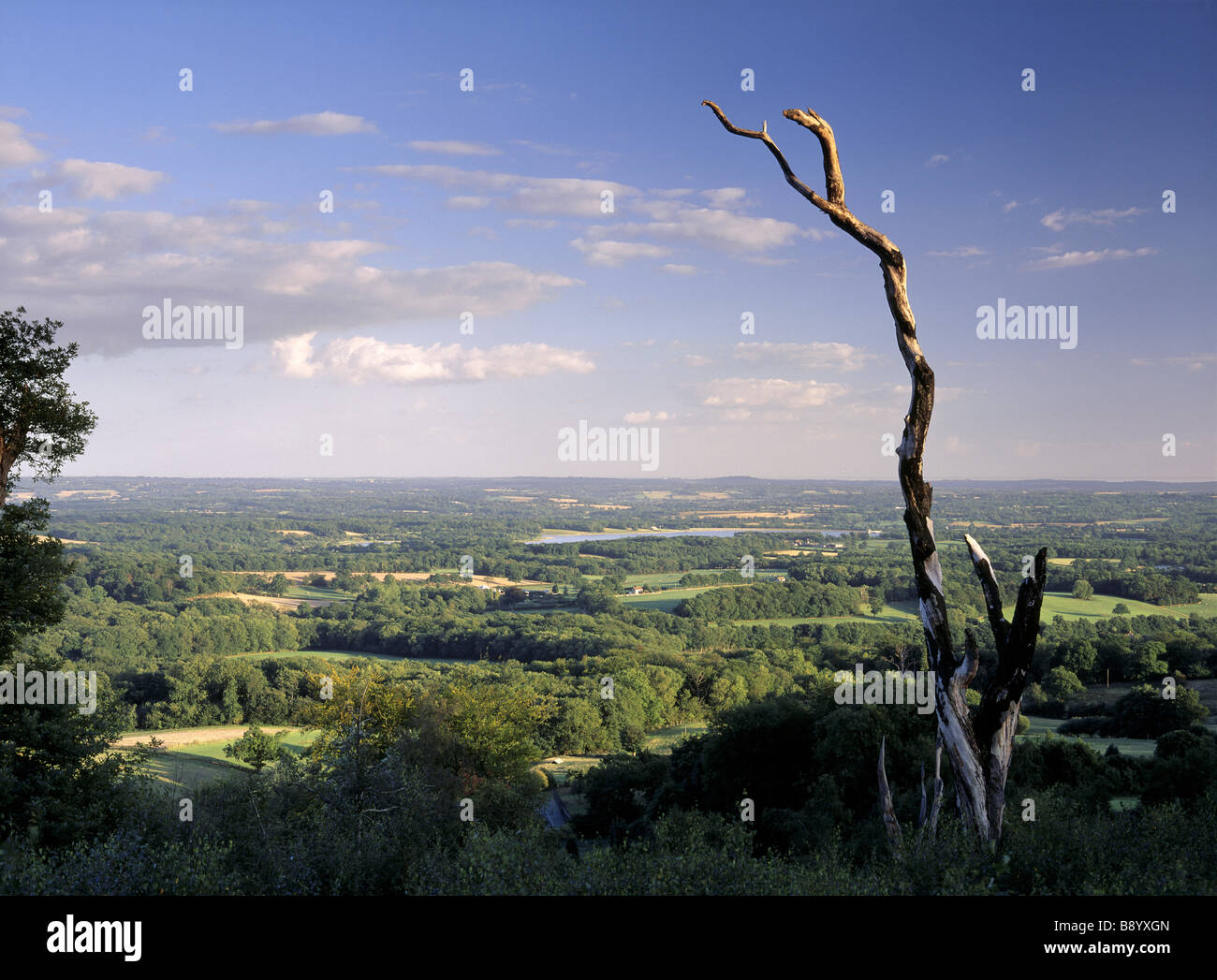 A view South to Bough Beech Reservoir Stock Photo - Alamy