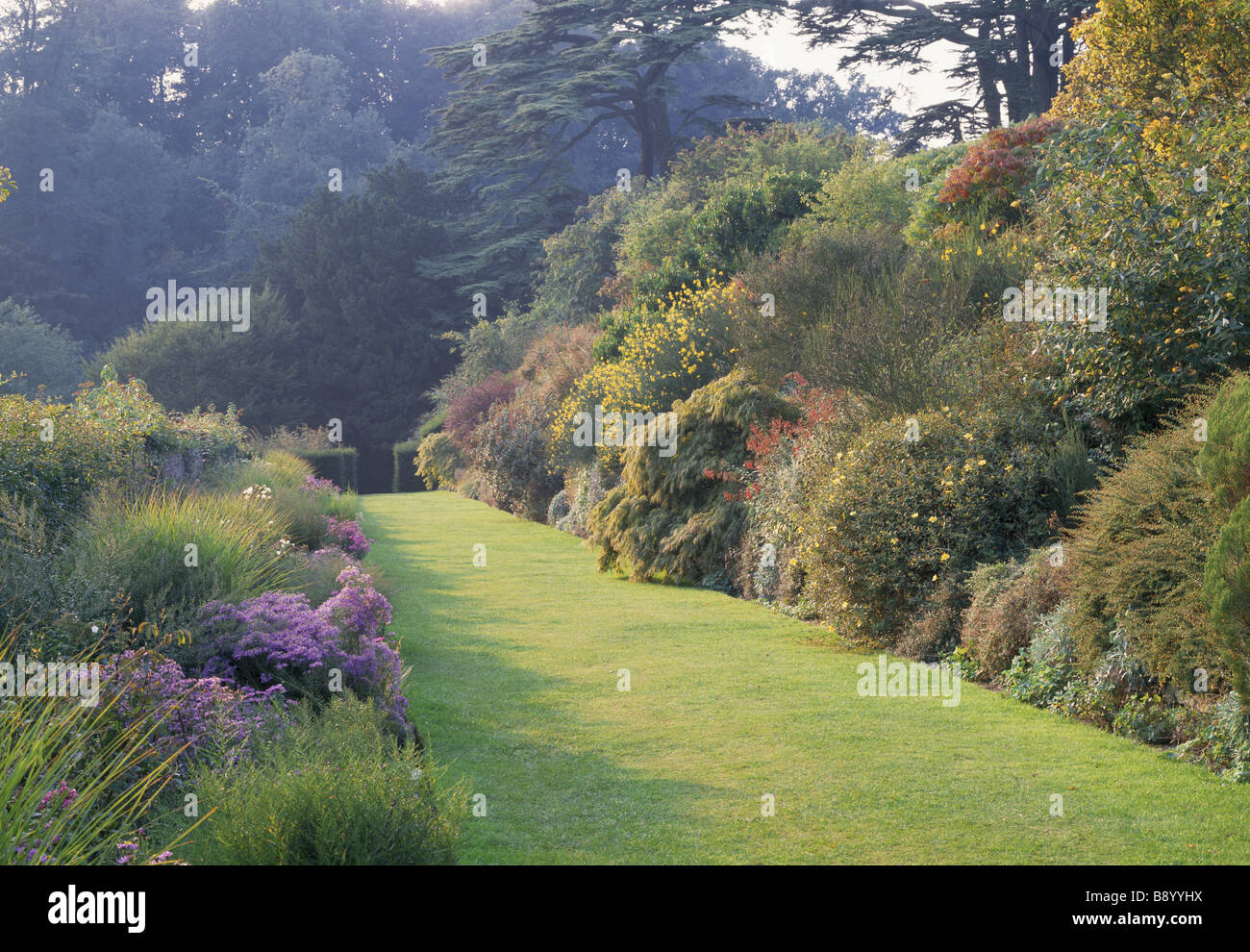 Aster border by the wall and the terrace opposite lawn walk starting to ...