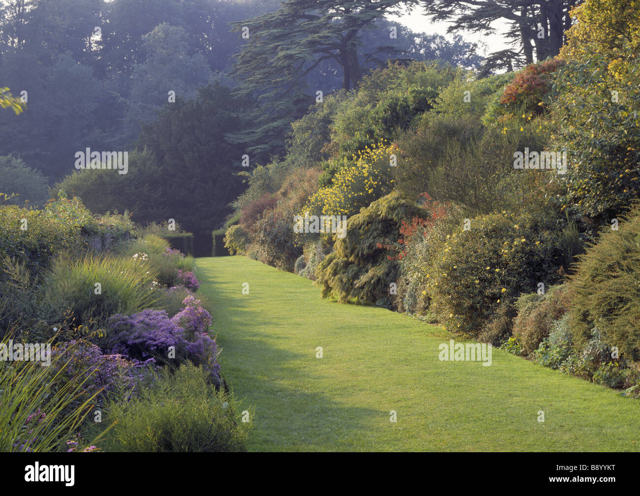 The Aster border and terrace starting to show Autumn colour Stock Photo ...