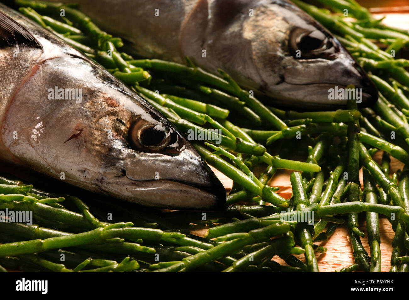 Mackerel mackeral hi-res stock photography and images - Alamy