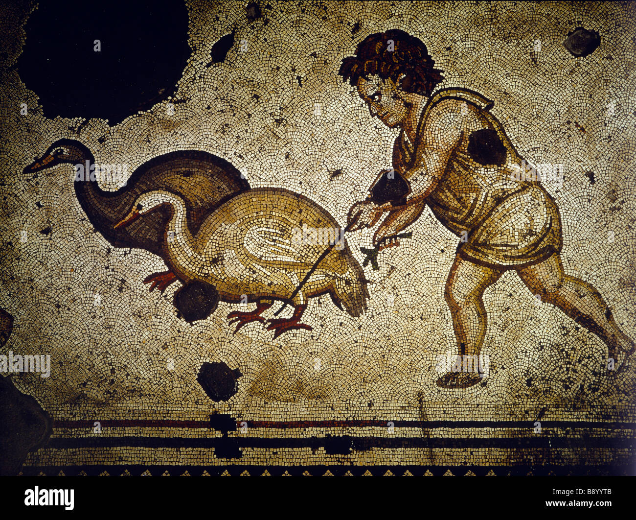 Herding geese hi-res stock photography and images - Alamy