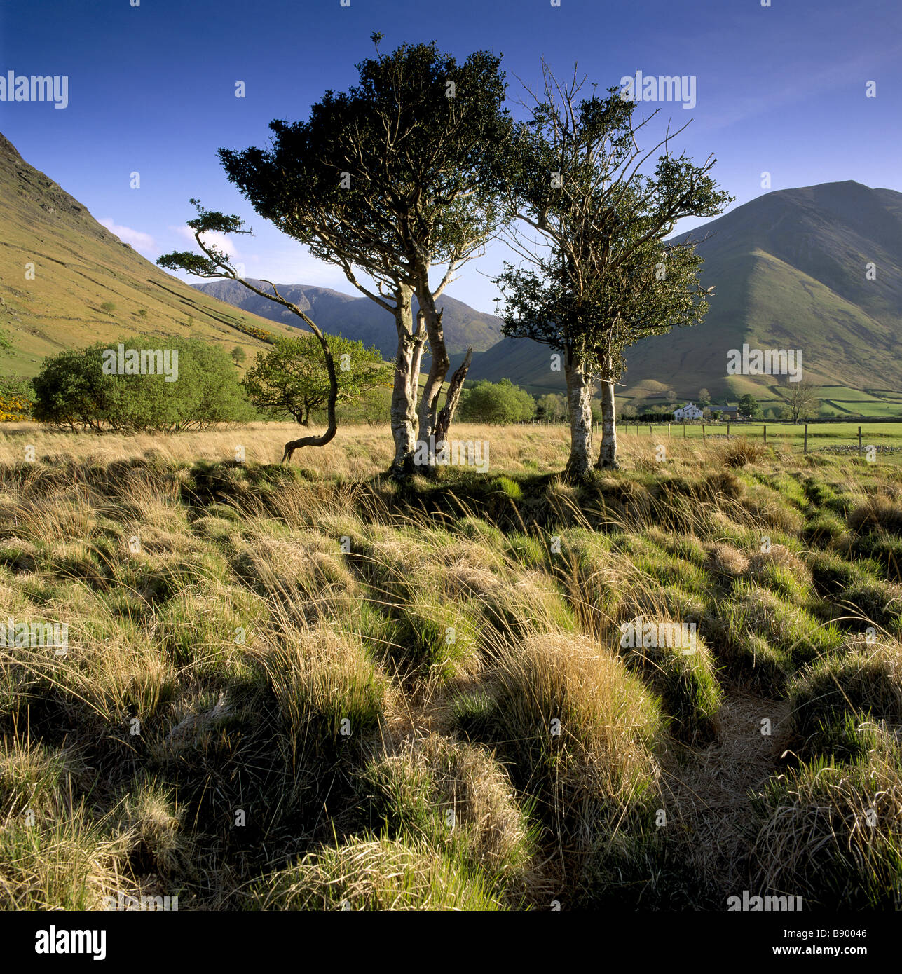 Wasdale Head looking towards Kirk Fell The foreground is covered with ...