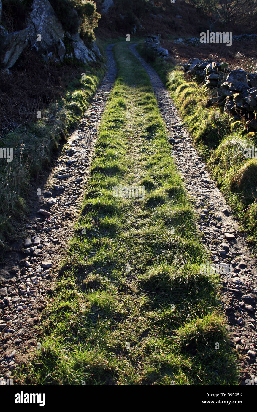 country lane track path and field in rural countryside Stock Photo - Alamy