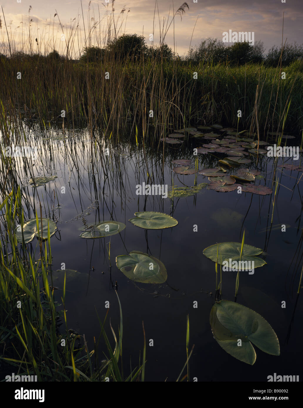 Fen landscapes hi-res stock photography and images - Alamy