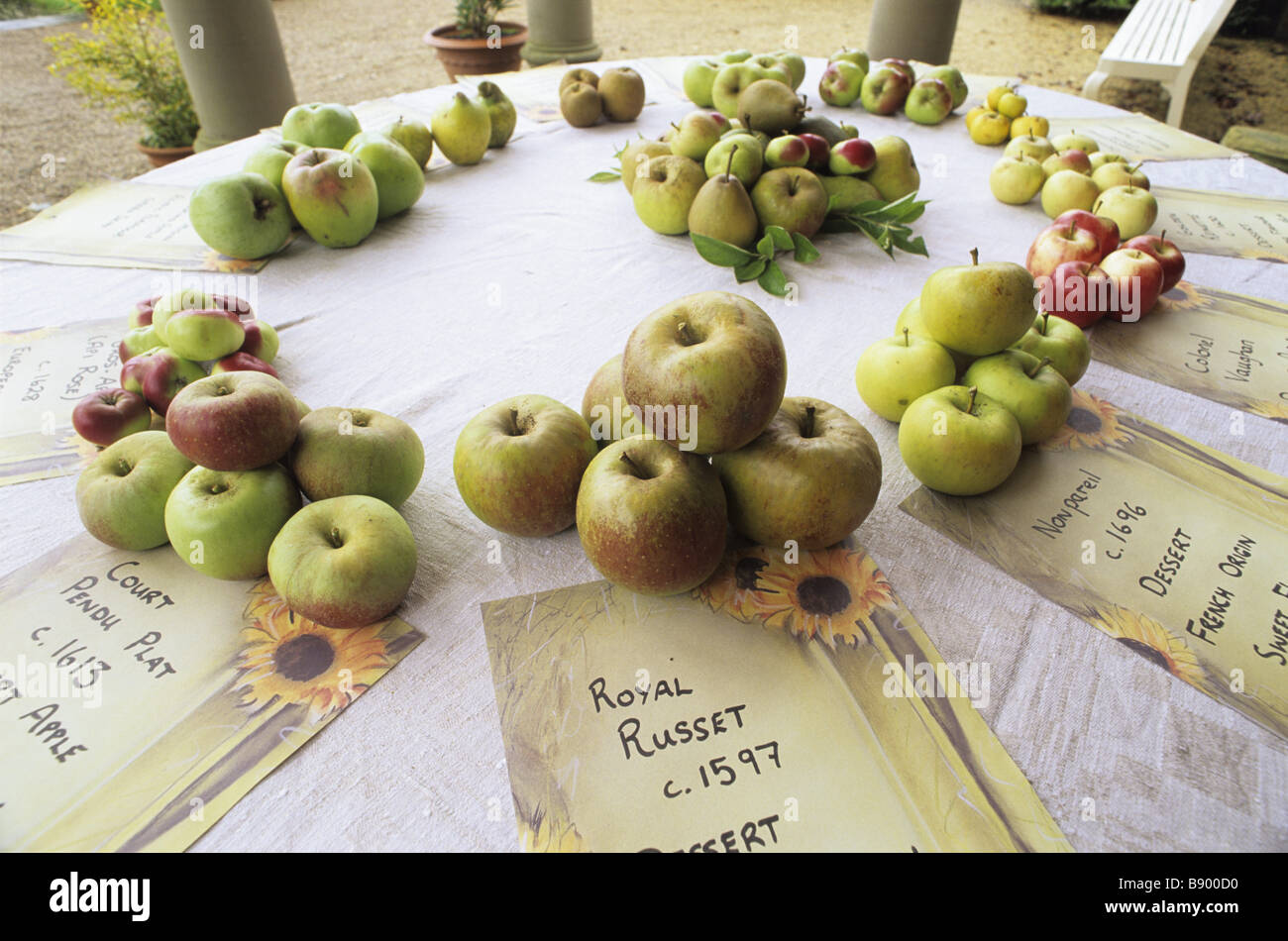 Old english apple varieties hi-res stock photography and images - Alamy
