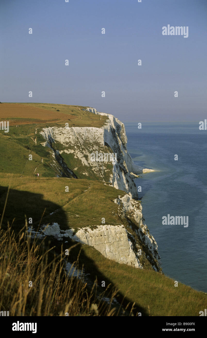 Coastal path on the White Cliffs of Dover Kent Stock Photo - Alamy