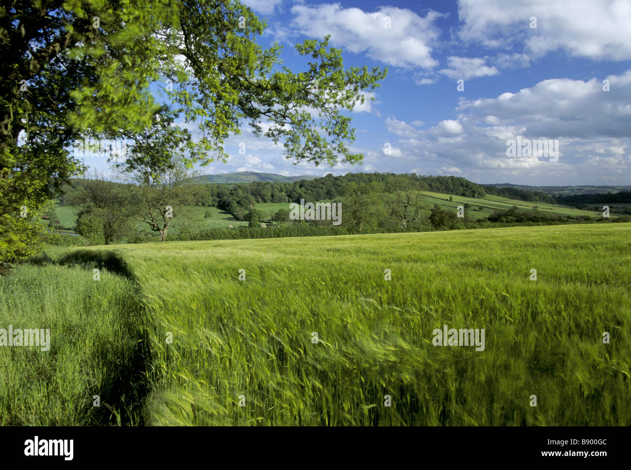 English rural landscape manor farm hi-res stock photography and images ...