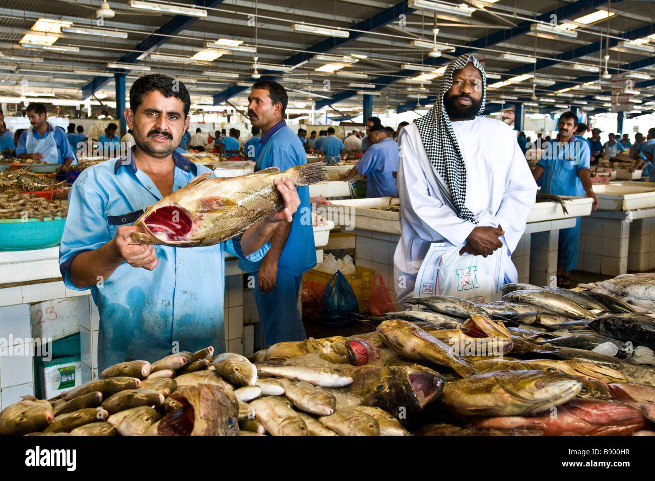 Fish market Deira Dubai United Arab Emirates Stock Photo - Alamy
