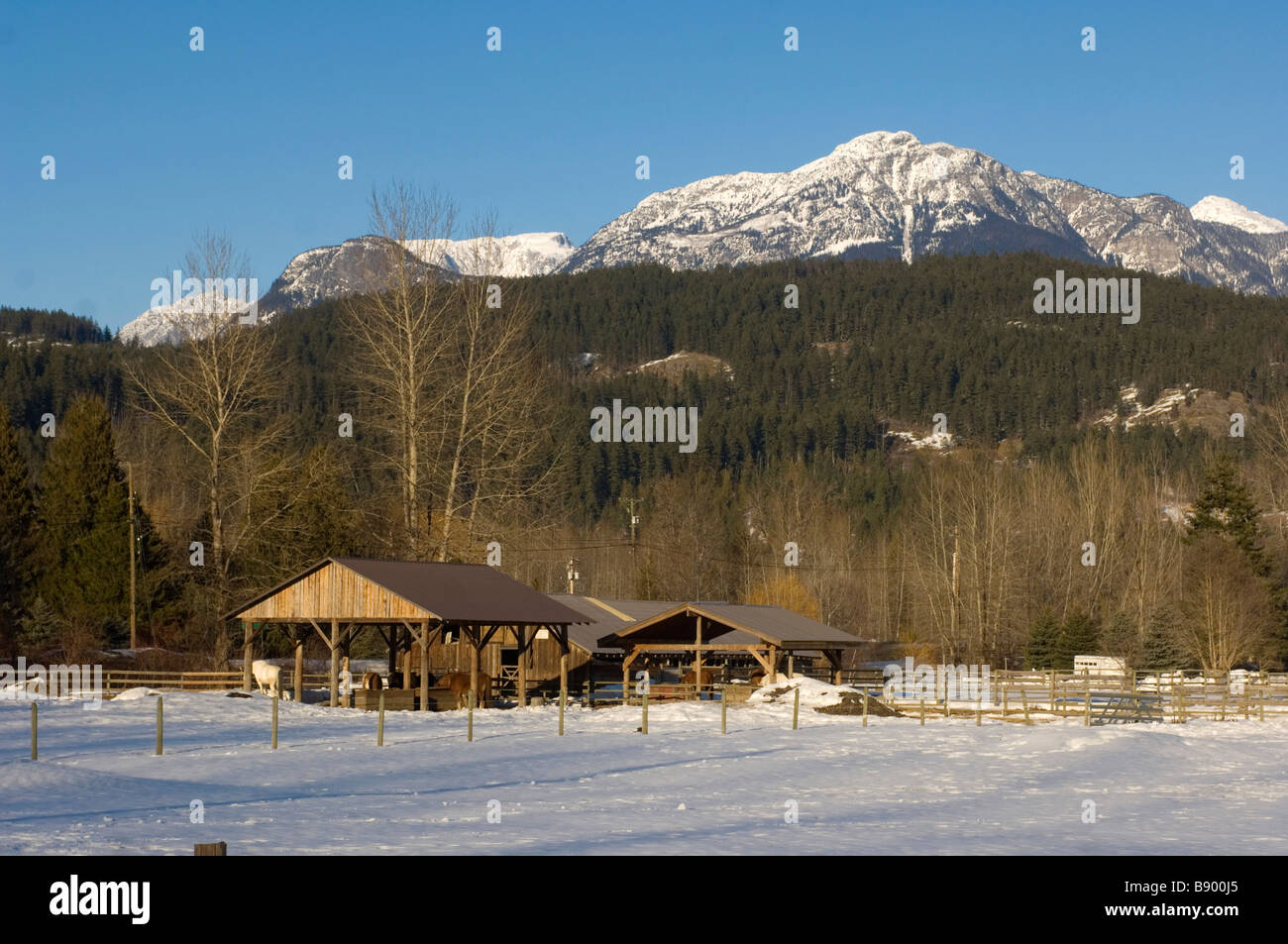 Canada farm hi-res stock photography and images - Alamy