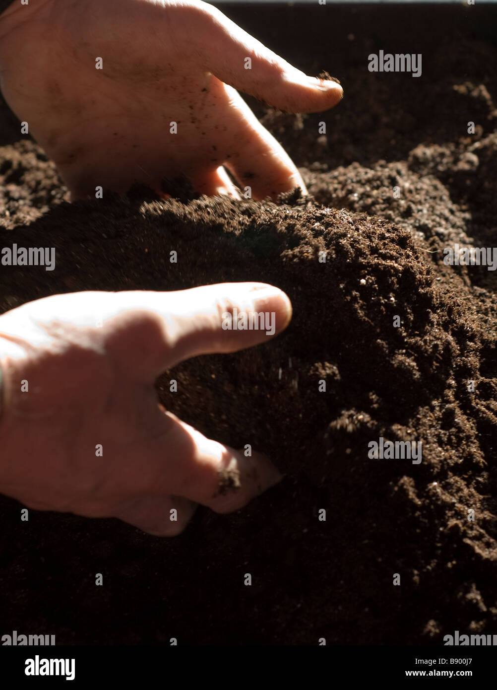 hands in soil Stock Photo - Alamy
