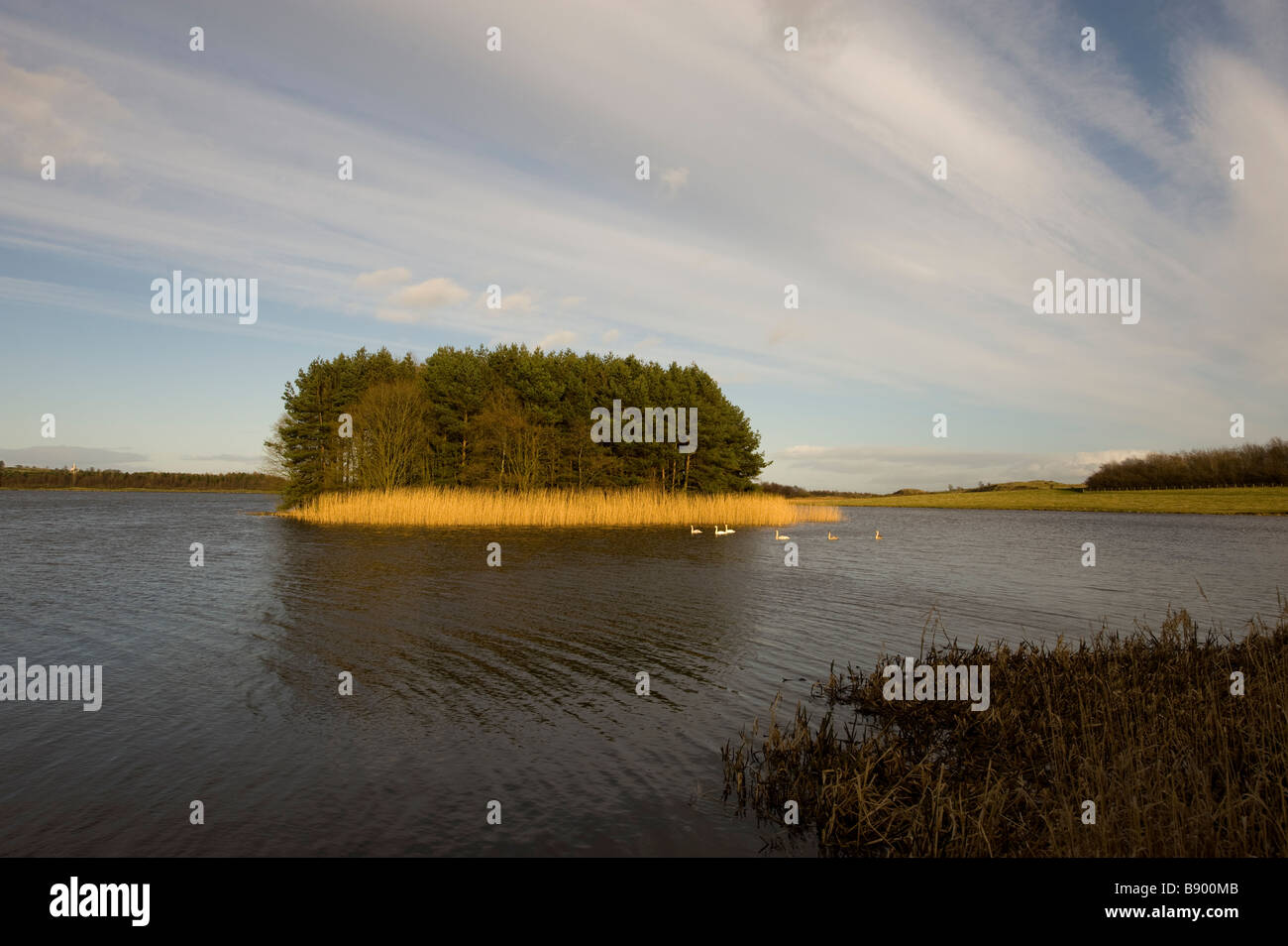 Loch scenery hi-res stock photography and images - Alamy