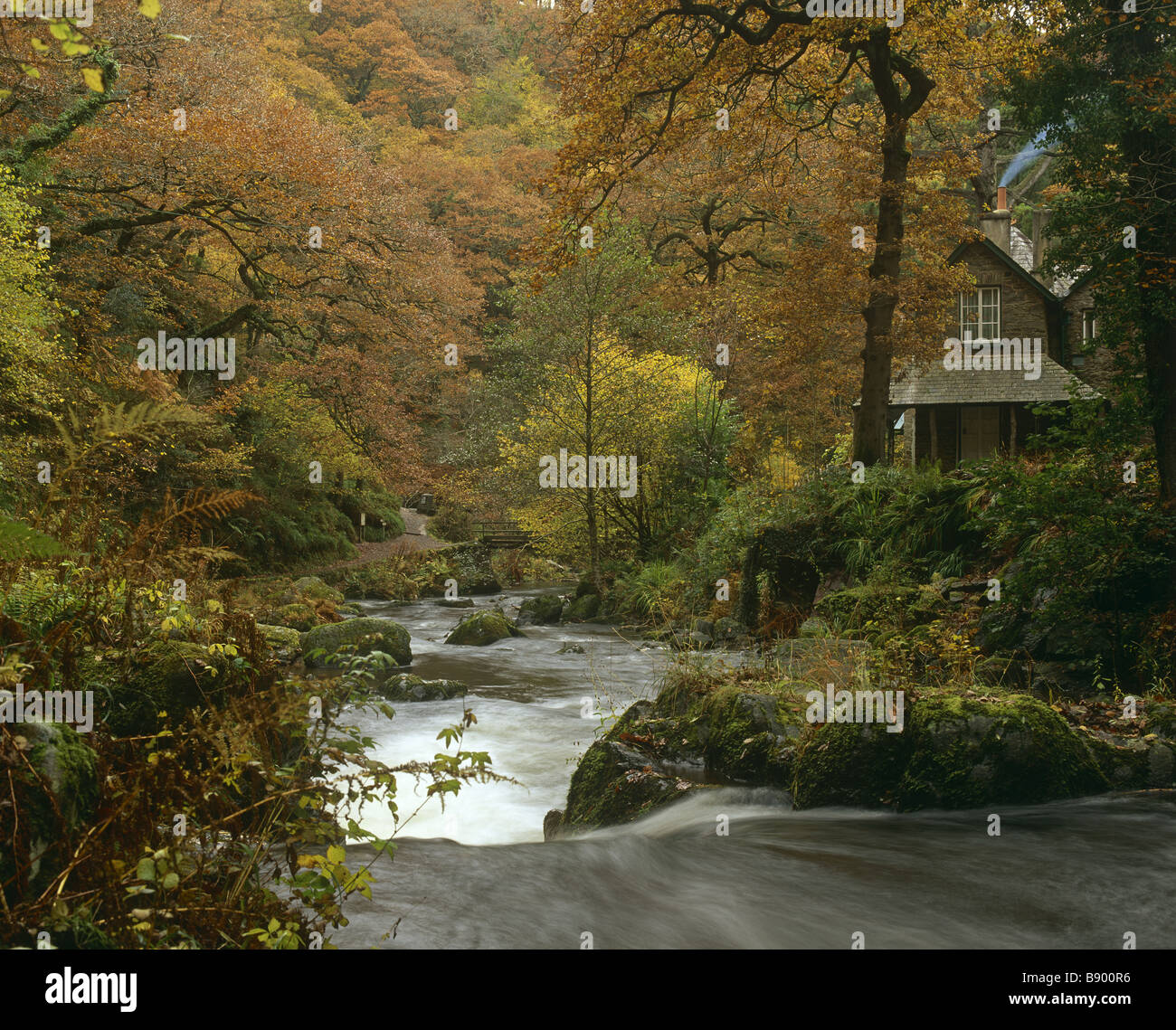 Watersmeet house devon hi-res stock photography and images - Alamy