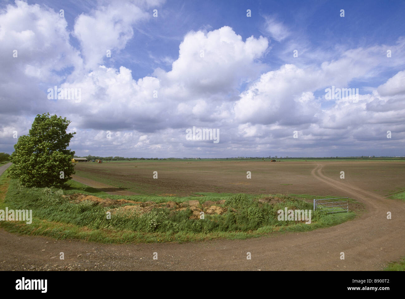 Fen fields hi-res stock photography and images - Alamy