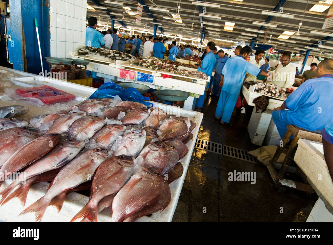 Fish market Deira Dubai United Arab Emirates Stock Photo - Alamy