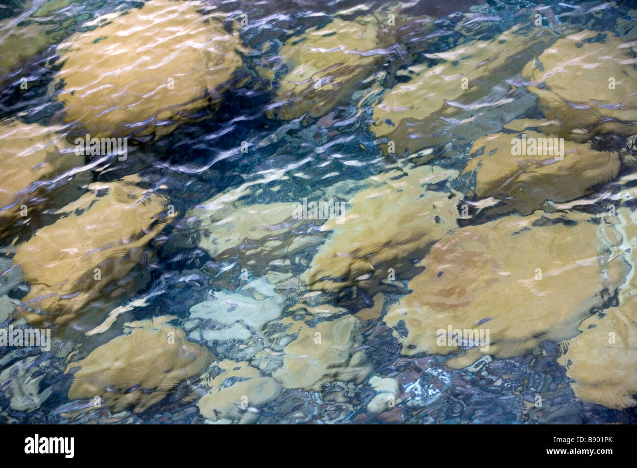 Underwater rocks hi-res stock photography and images - Alamy