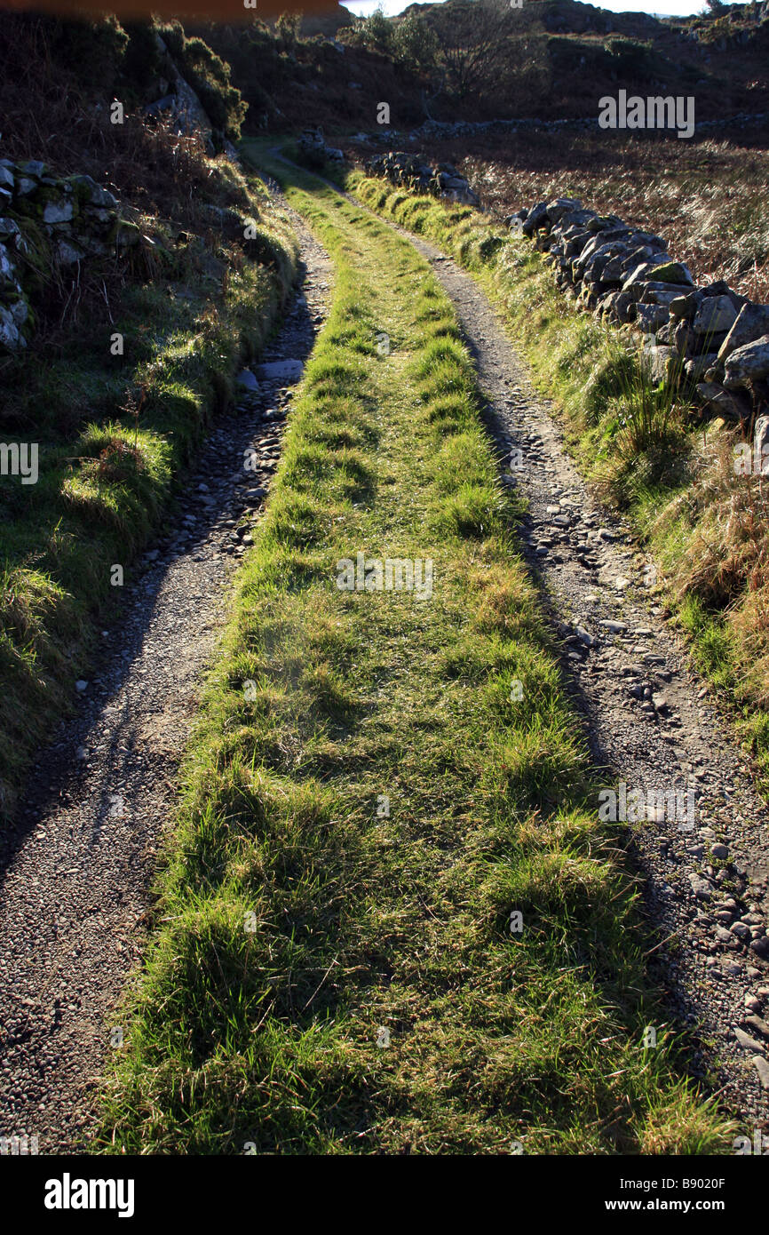 country lane track path and field in rural countryside Stock Photo - Alamy