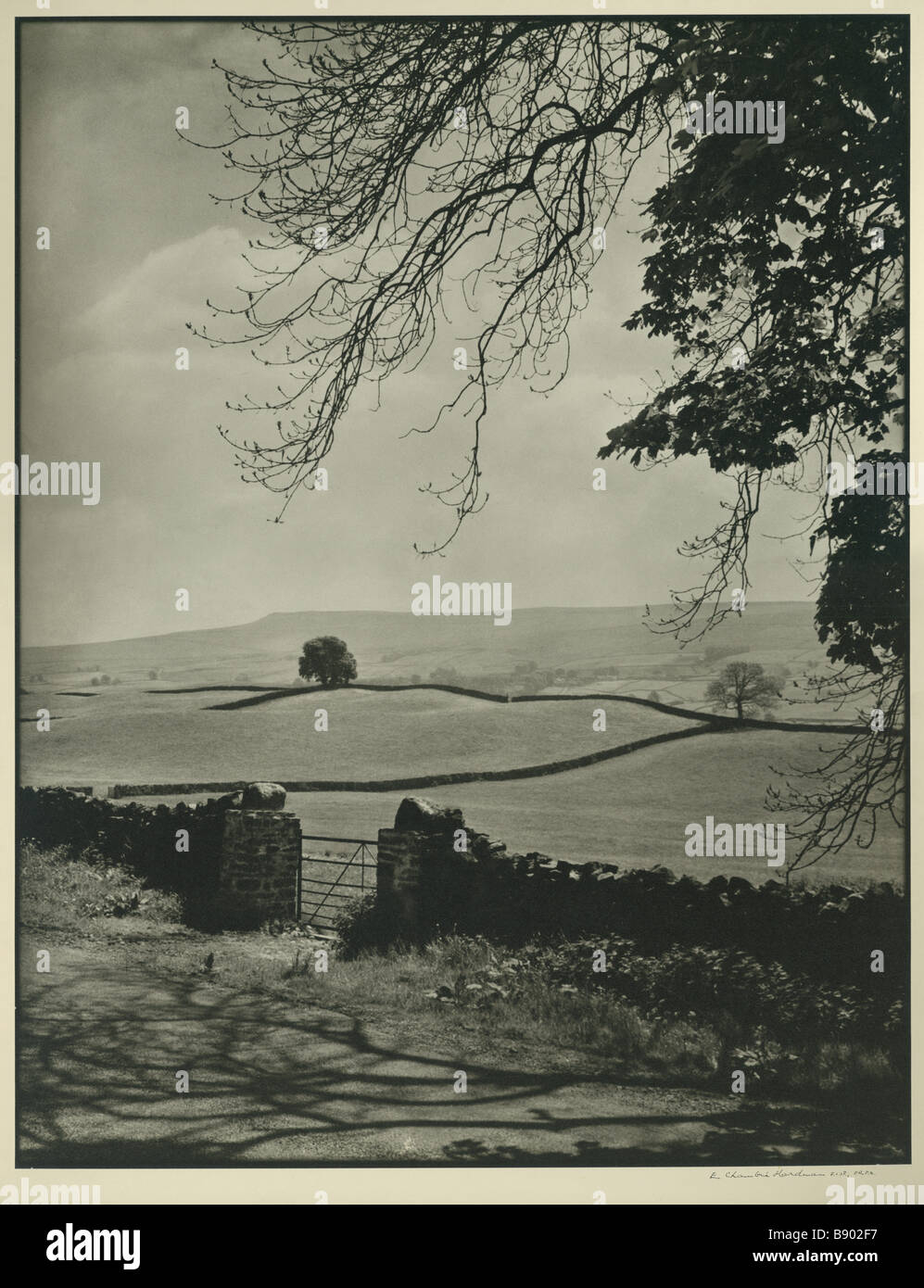 Edward Chambré Hardman photograph of Wensleydale taken 1968 Stock Photo ...