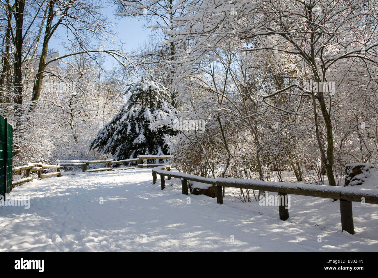 snow covered path Stock Photo - Alamy