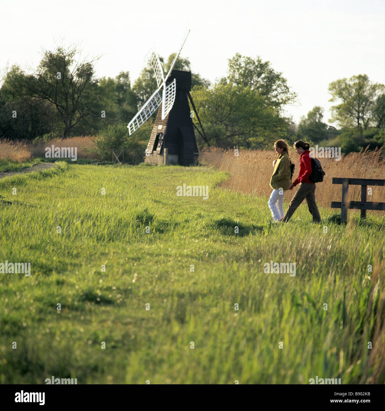 View of wind pump windmill and visitors walking at Wicken Fen ...