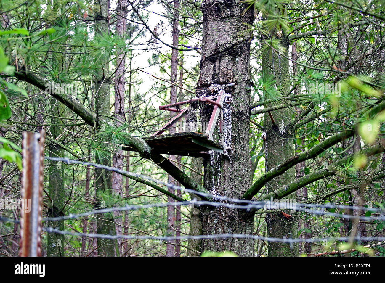 Abandoned Hunters Tree Stand Stock Photo - Alamy