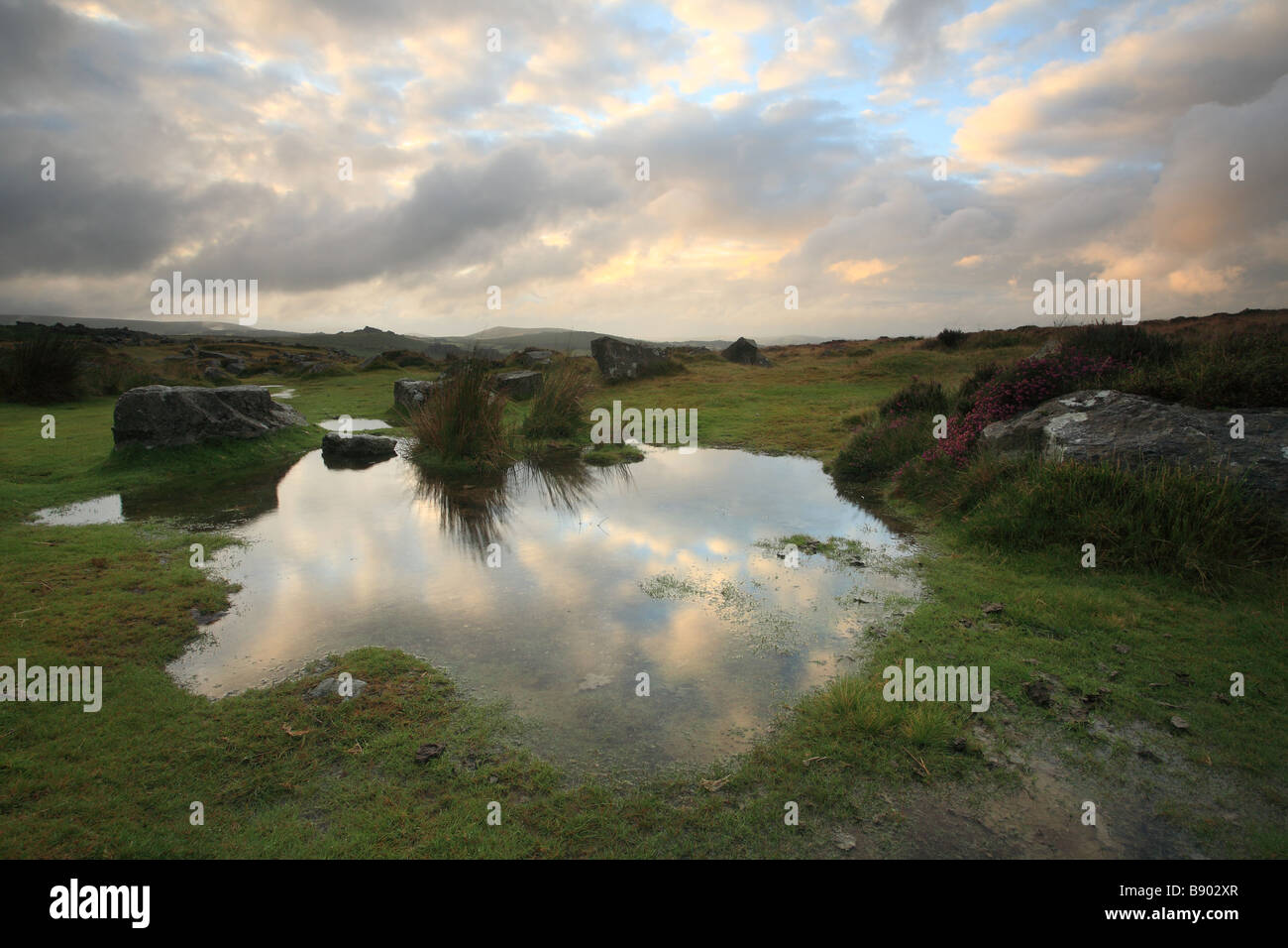 Wet summer day on Dartmoor looking towards Hound Tor, Devon, England ...