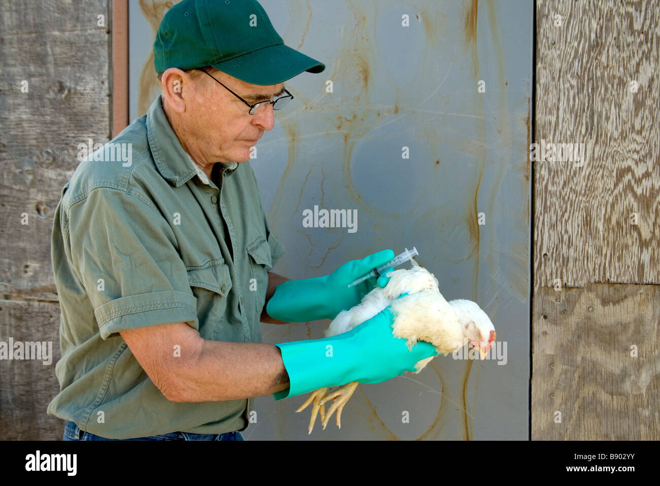 Bird blood sample hi-res stock photography and images - Alamy