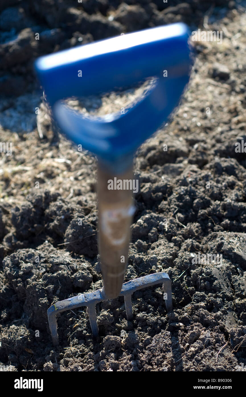 blue fork in soil allotment Stock Photo - Alamy
