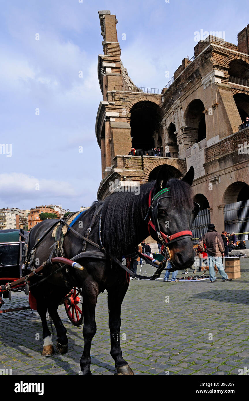 Horse and carriage at the Colisseum in Rome, Italy, Europe Stock Photo ...