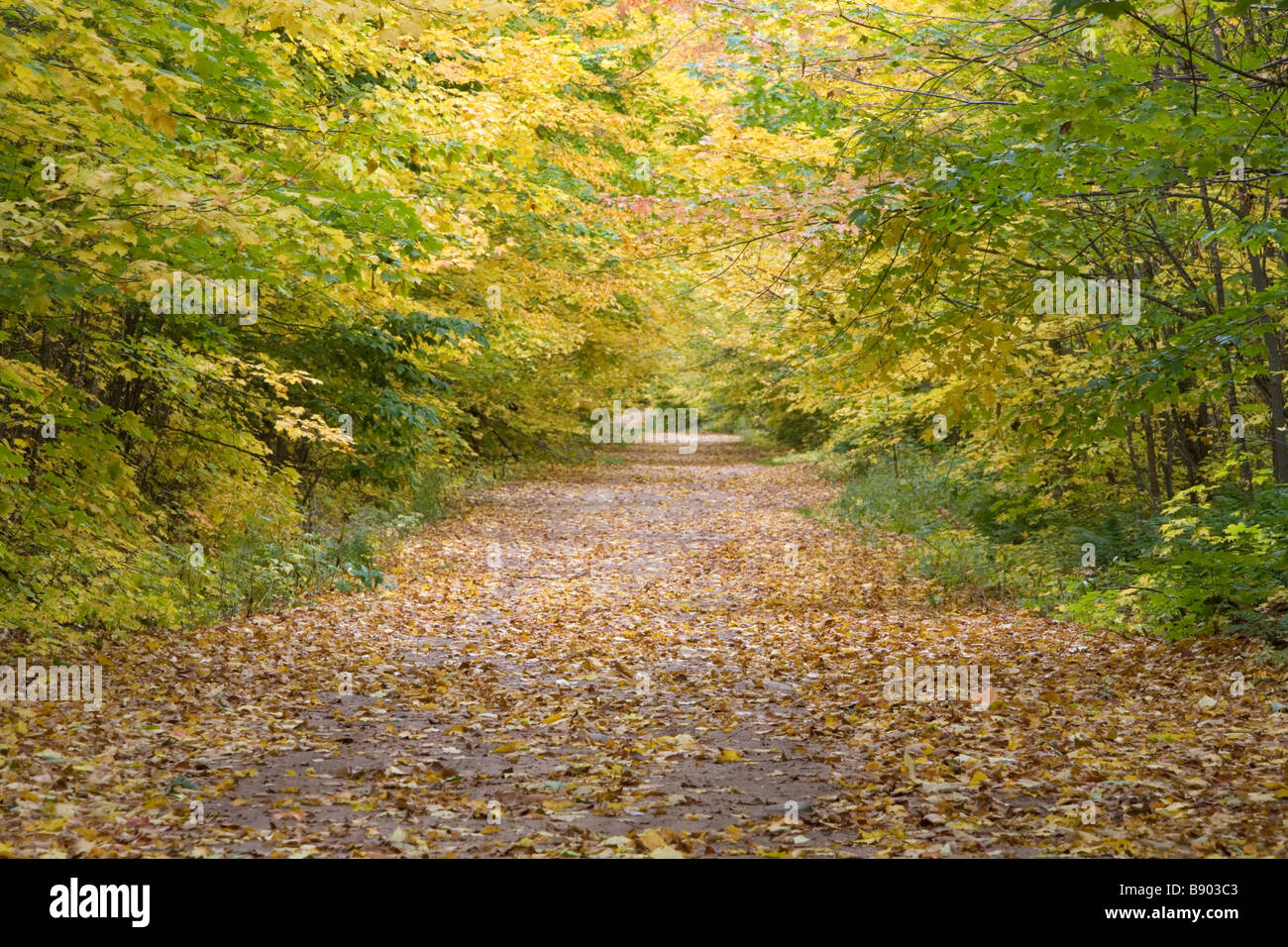 Fall autum fall hi-res stock photography and images - Alamy