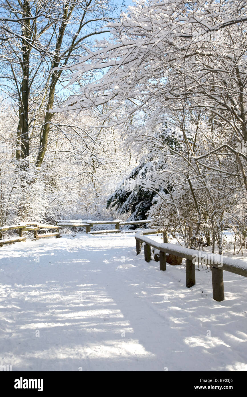 snow covered path Stock Photo - Alamy