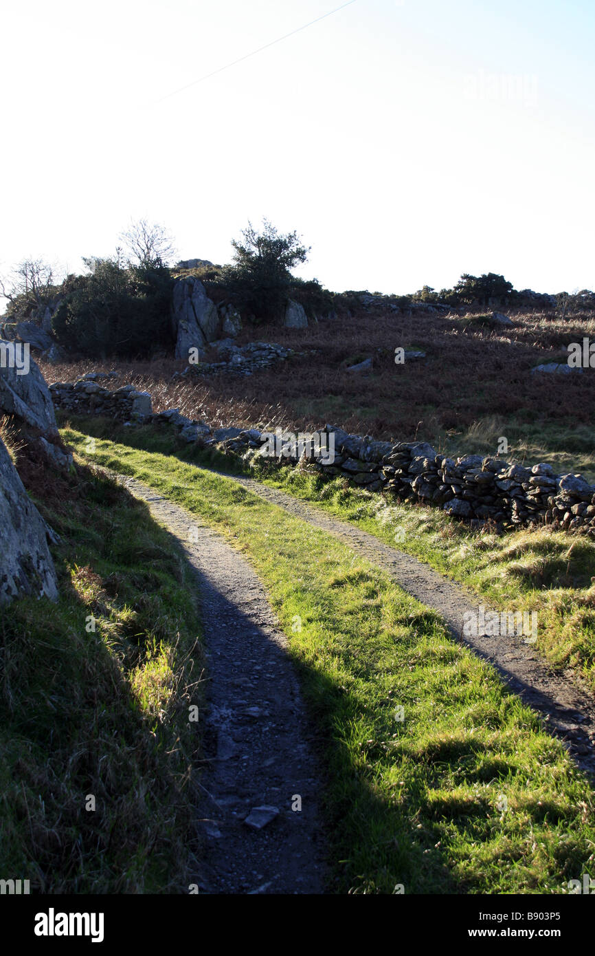 country lane track path and field in rural countryside Stock Photo - Alamy