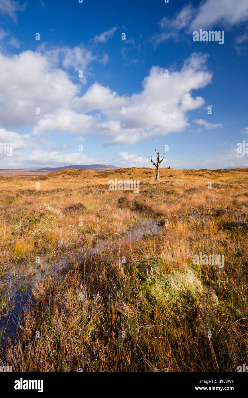 This moor hi-res stock photography and images - Alamy
