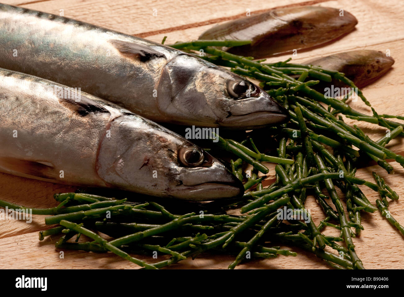 Mackerel mackeral hi-res stock photography and images - Alamy